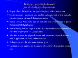 Insect feeding mechanism | PPTX