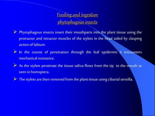 Insect feeding mechanism | PPTX