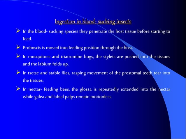 Insect feeding mechanism | PPTX