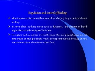 Insect feeding mechanism | PPTX