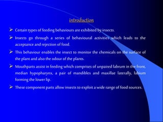 Insect feeding mechanism | PPTX