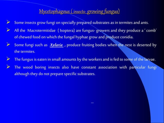 Insect feeding mechanism | PPTX