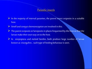 Insect feeding mechanism | PPTX