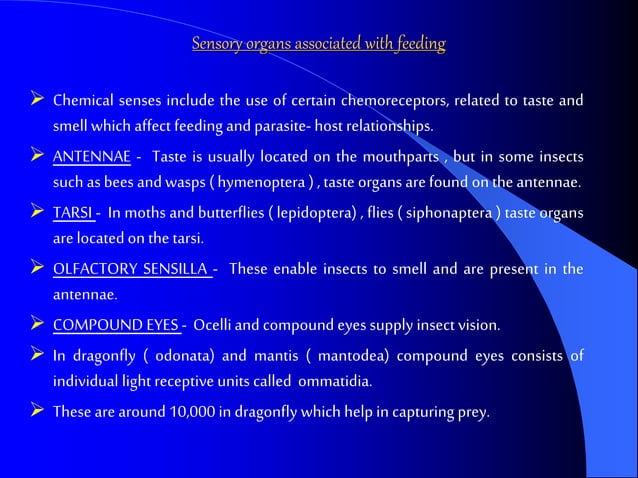 Insect feeding mechanism | PPTX
