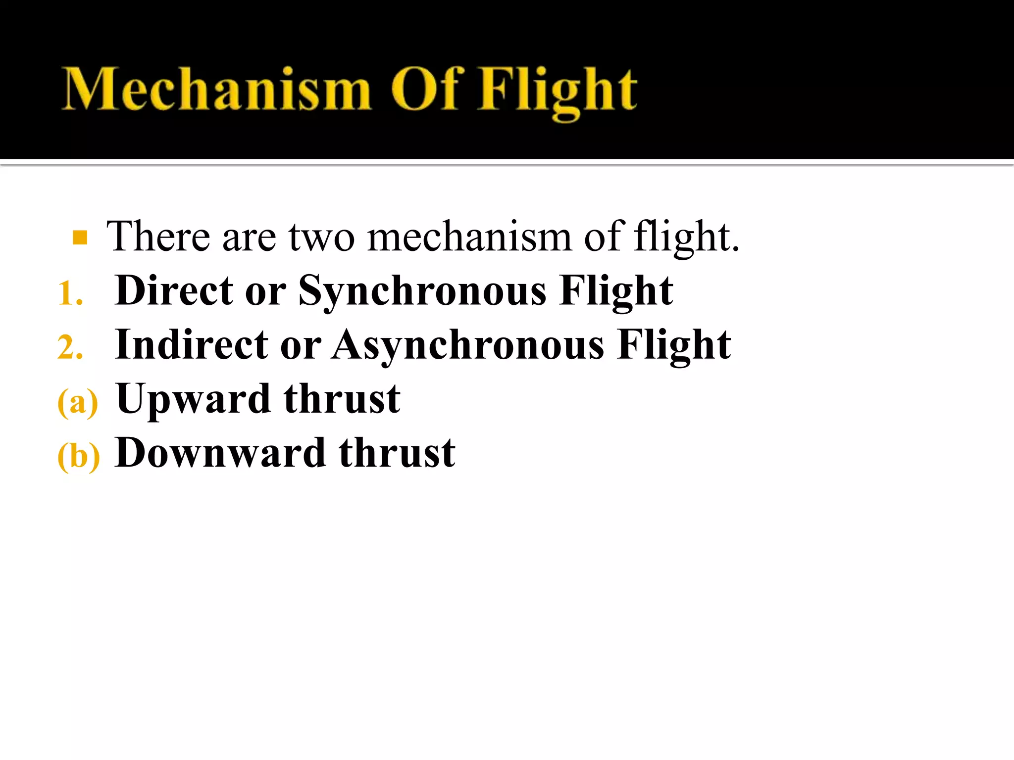 Insect flight | PPTX