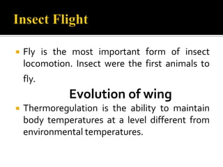 Insect flight | PPTX