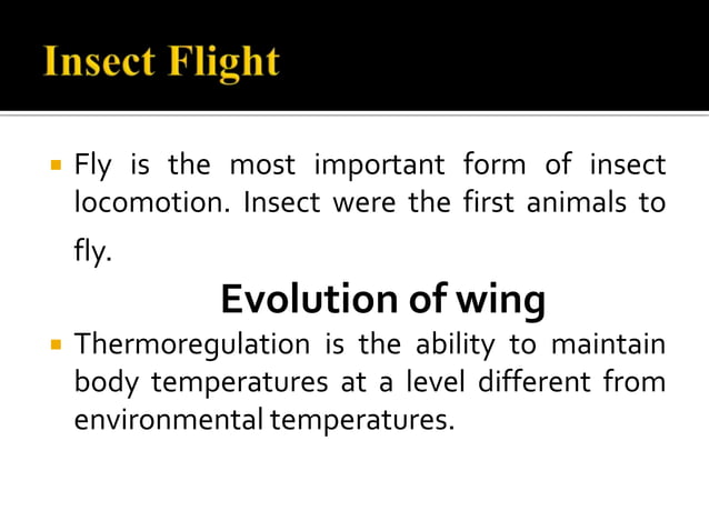 Insect flight | PPTX