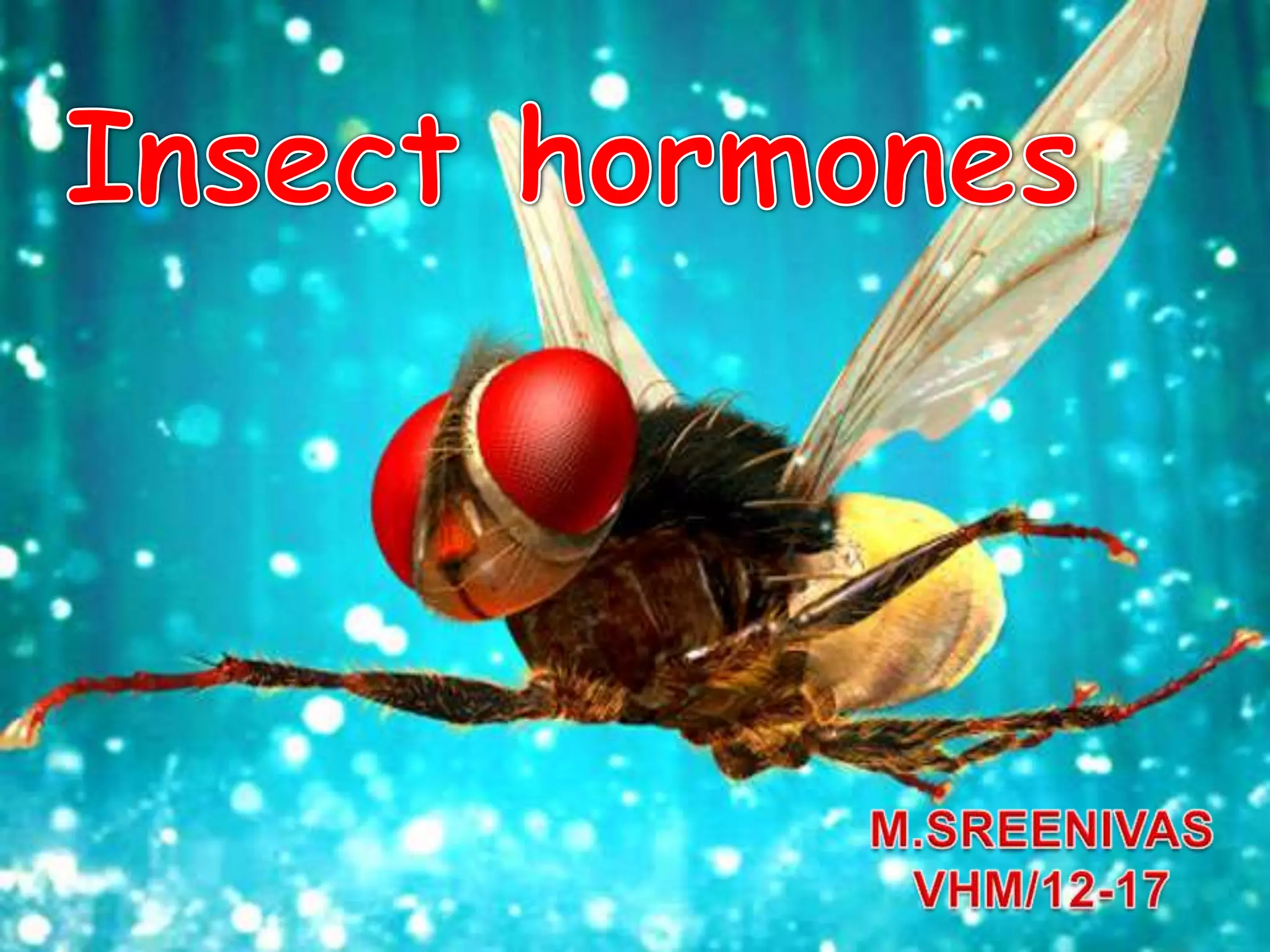 Insect hormones | PPTX