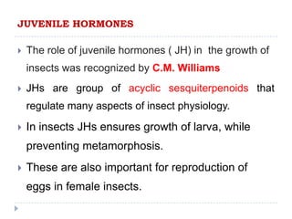 Insect hormones | PPTX
