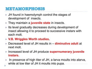 Insect hormones | PPTX