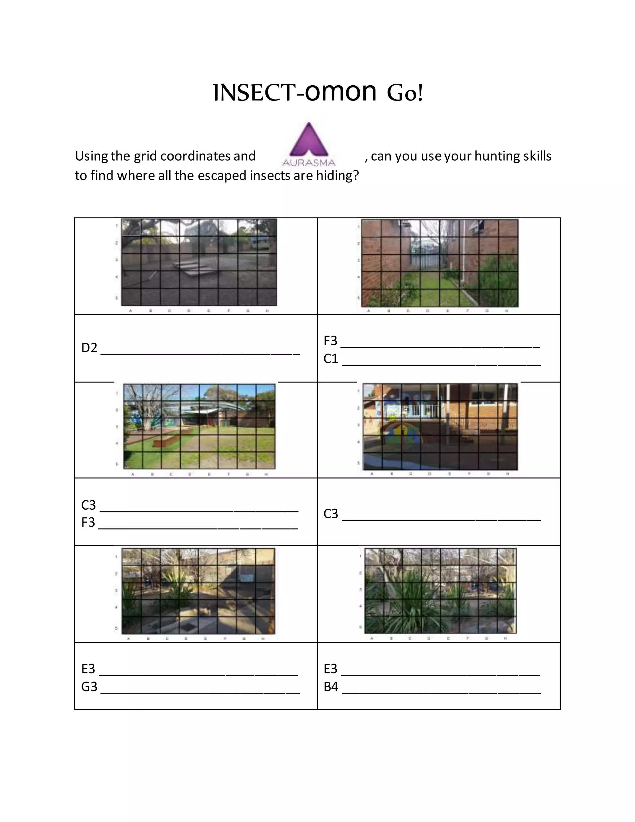 Insect hunt | DOCX