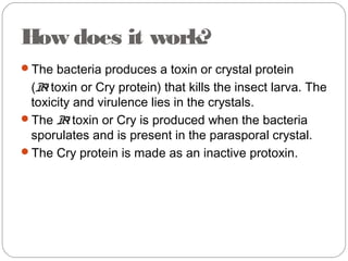 Insecticidal toxin of | PPT