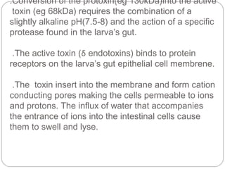Insecticidal toxin of | PPT