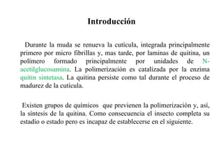 Insecticidas inhibidores de quitina | PPT