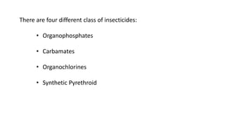 Insecticide & Human health.pptx