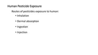 Insecticide & Human health.pptx