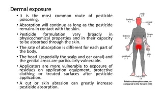 Insecticide & Human health.pptx