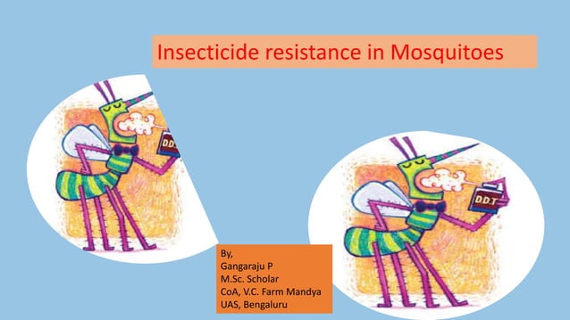 Insecticide resistance in mosquitoes | PPTX | Chemistry | Science