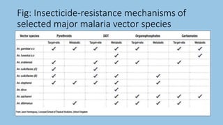 Insecticide resistance in mosquitoes | PPTX