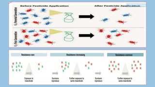 Insecticide resistance in mosquitoes | PPTX