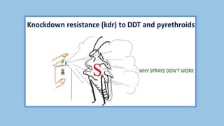 Insecticide resistance in mosquitoes | PPTX