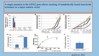 Insecticide resistance in mosquitoes | PPTX