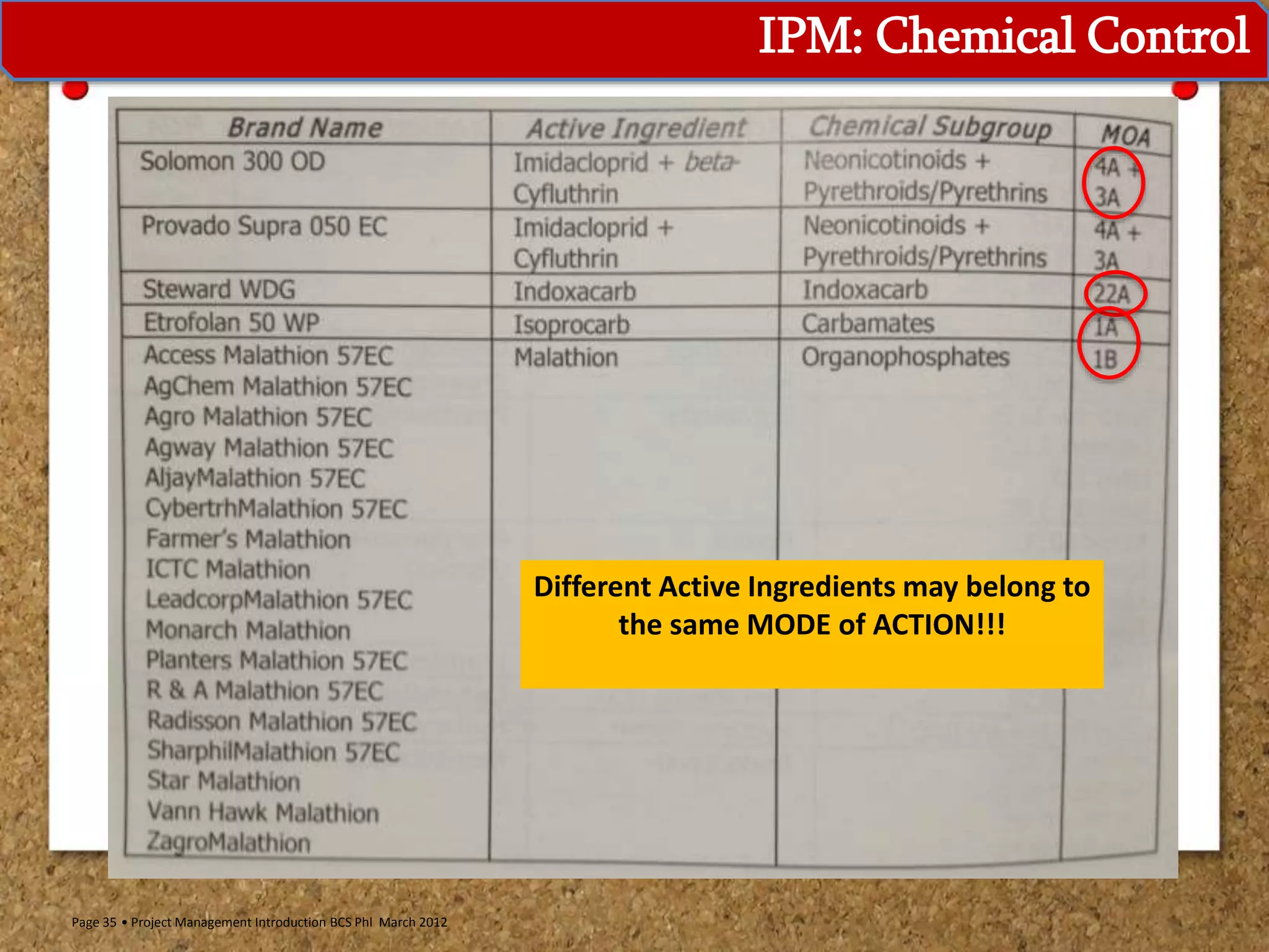 Insecticide resistance of dbm | PPT