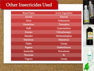Insecticide resistance of dbm | PPTX