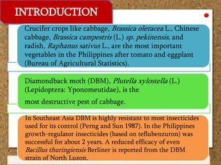 Insecticide resistance of dbm | PPT