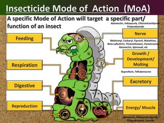 Insecticide resistance of dbm | PPTX