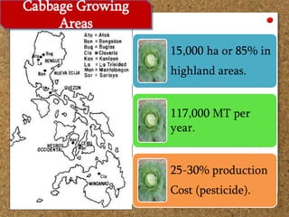 Insecticide resistance of dbm | PPTX