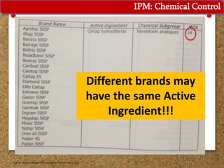 Insecticide resistance of dbm | PPTX