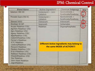 Insecticide resistance of dbm | PPTX