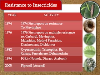 Insecticide resistance of dbm | PPTX