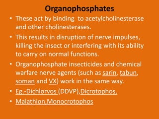 Insecticides.ppt