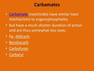 Insecticides.ppt