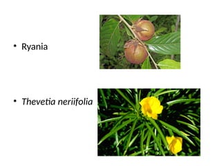 Insecticides - classification - mode of action.pptx