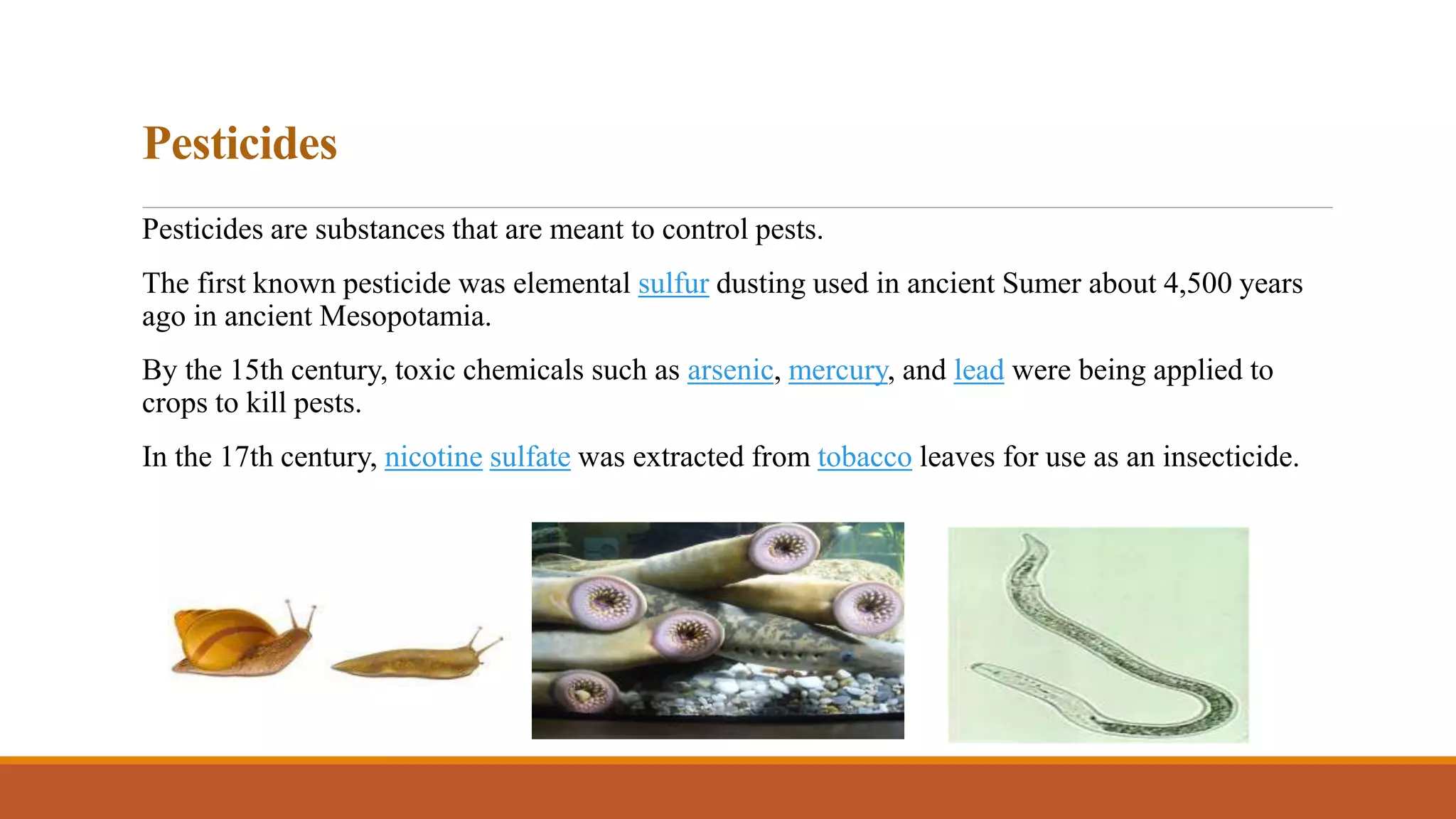 Insecticides and pesticides.pptx