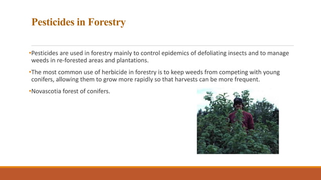 Insecticides and pesticides.pptx | Agriculture | Industries