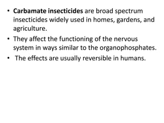 Insecticides groups based on chemical nature.pptx