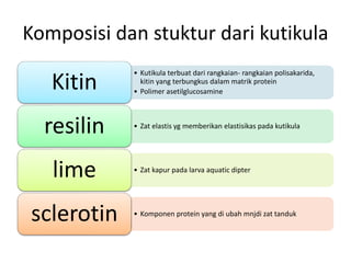 Insect integument | PPTX