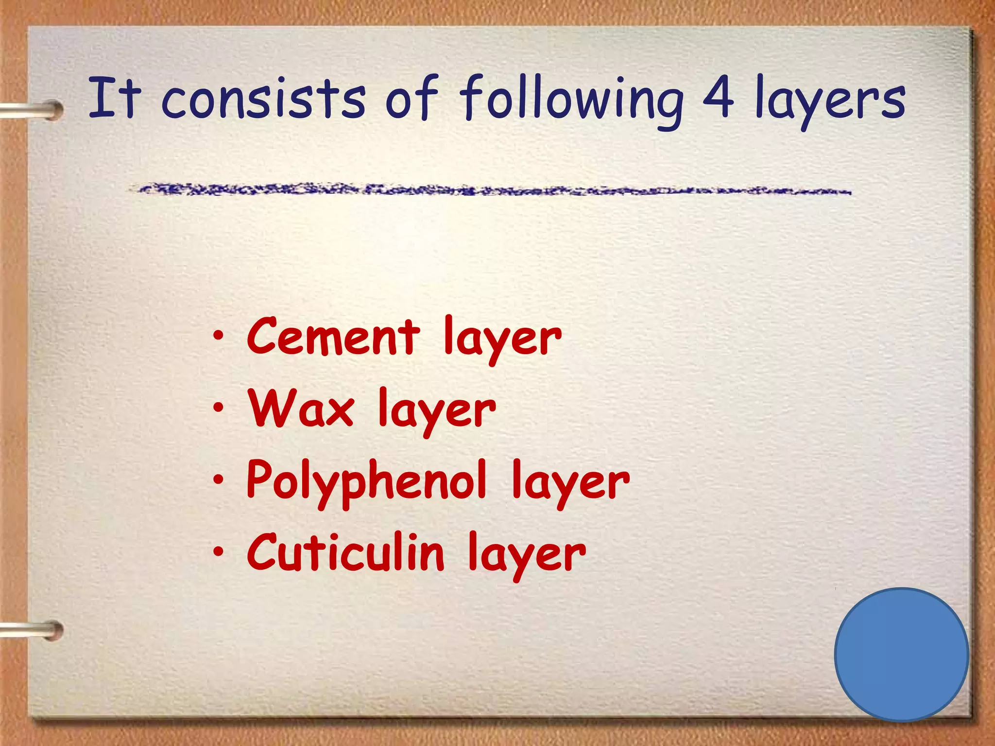 Insect integument | PPT