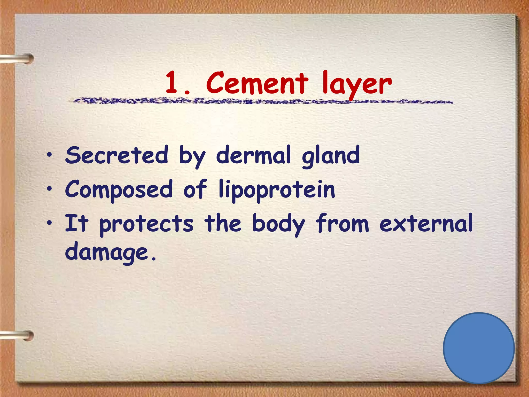 Insect integument | PPT | Chemistry | Science