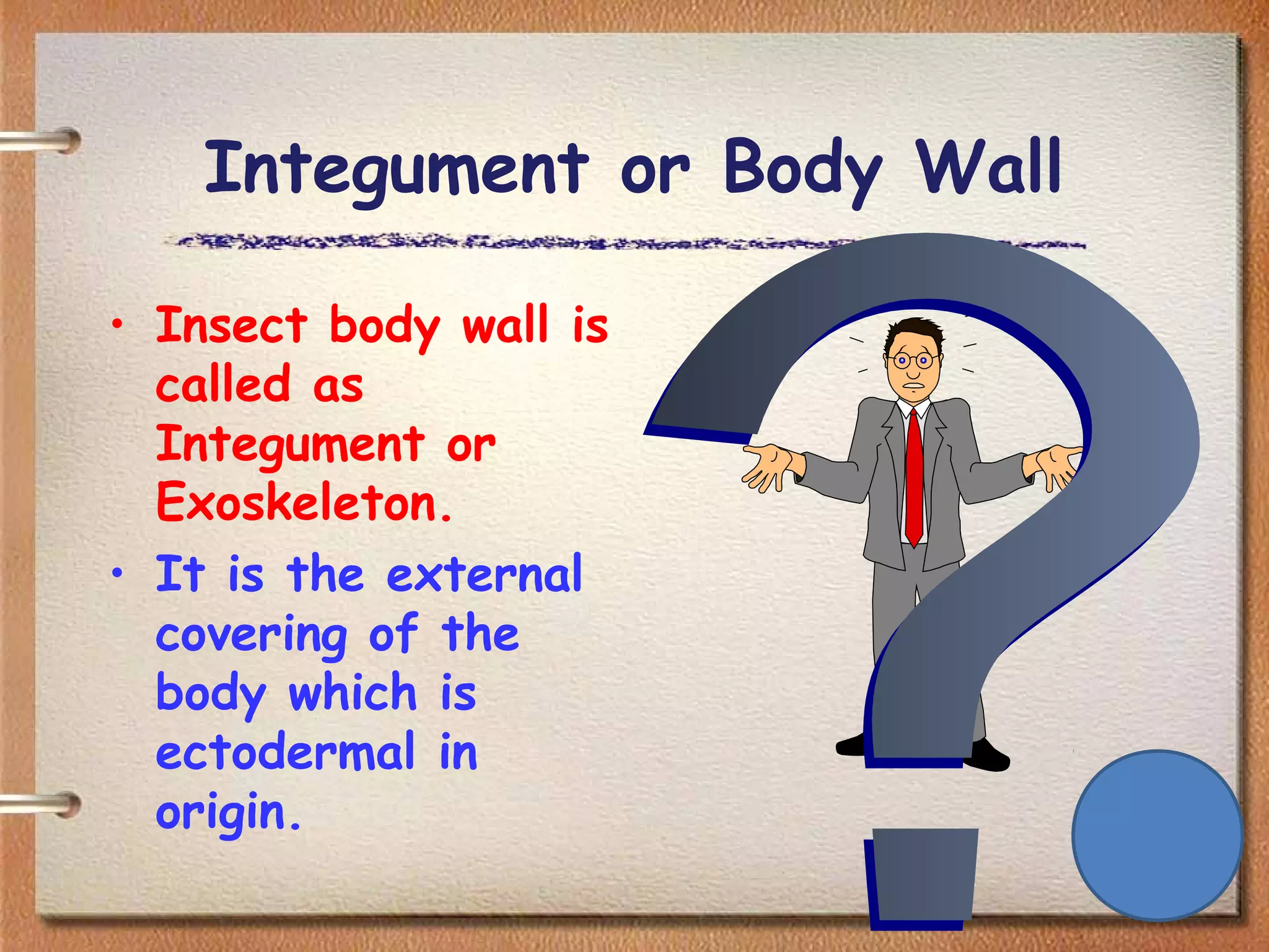 Insect integument | PPT