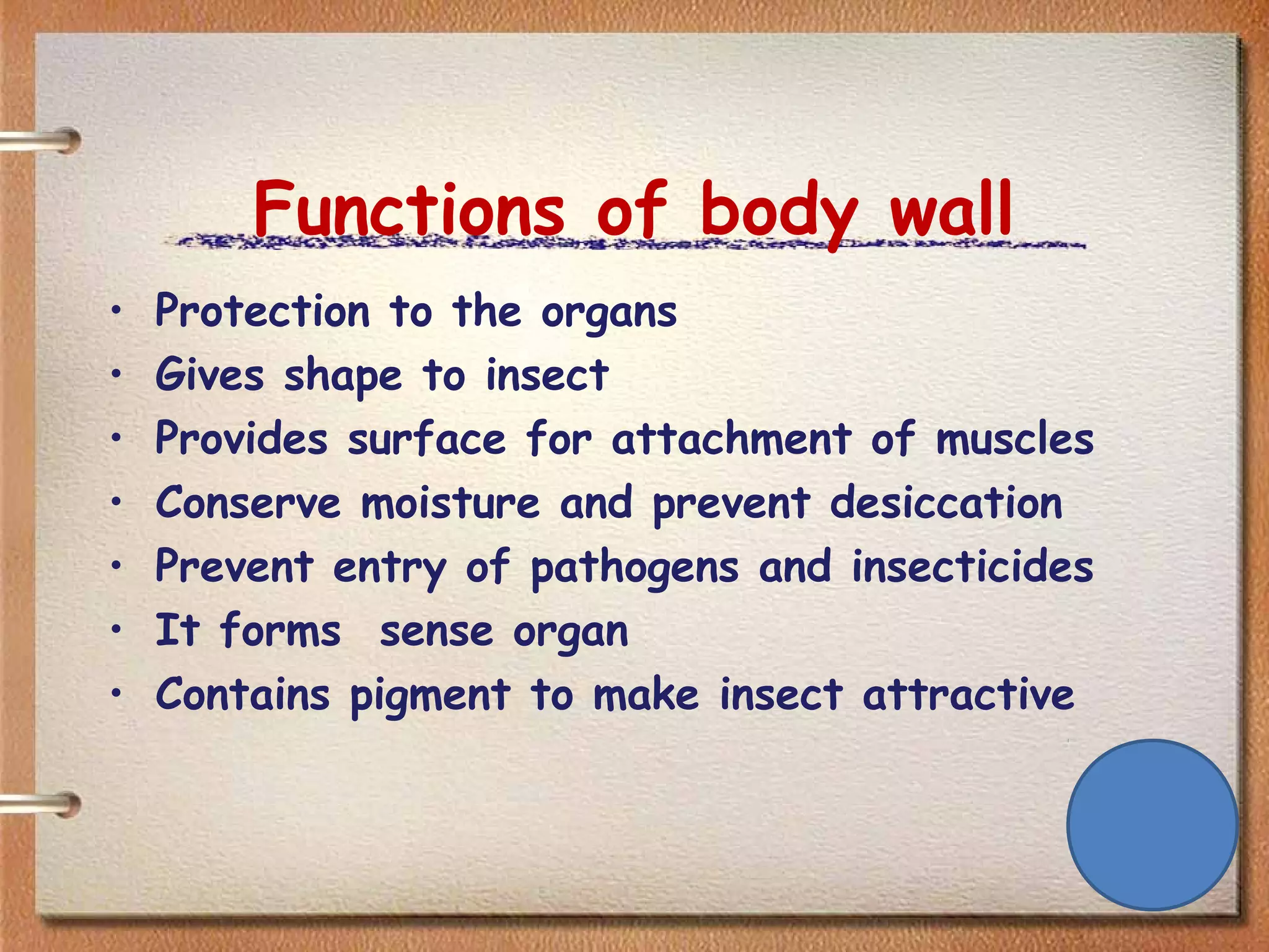 Insect integument | PPT | Chemistry | Science