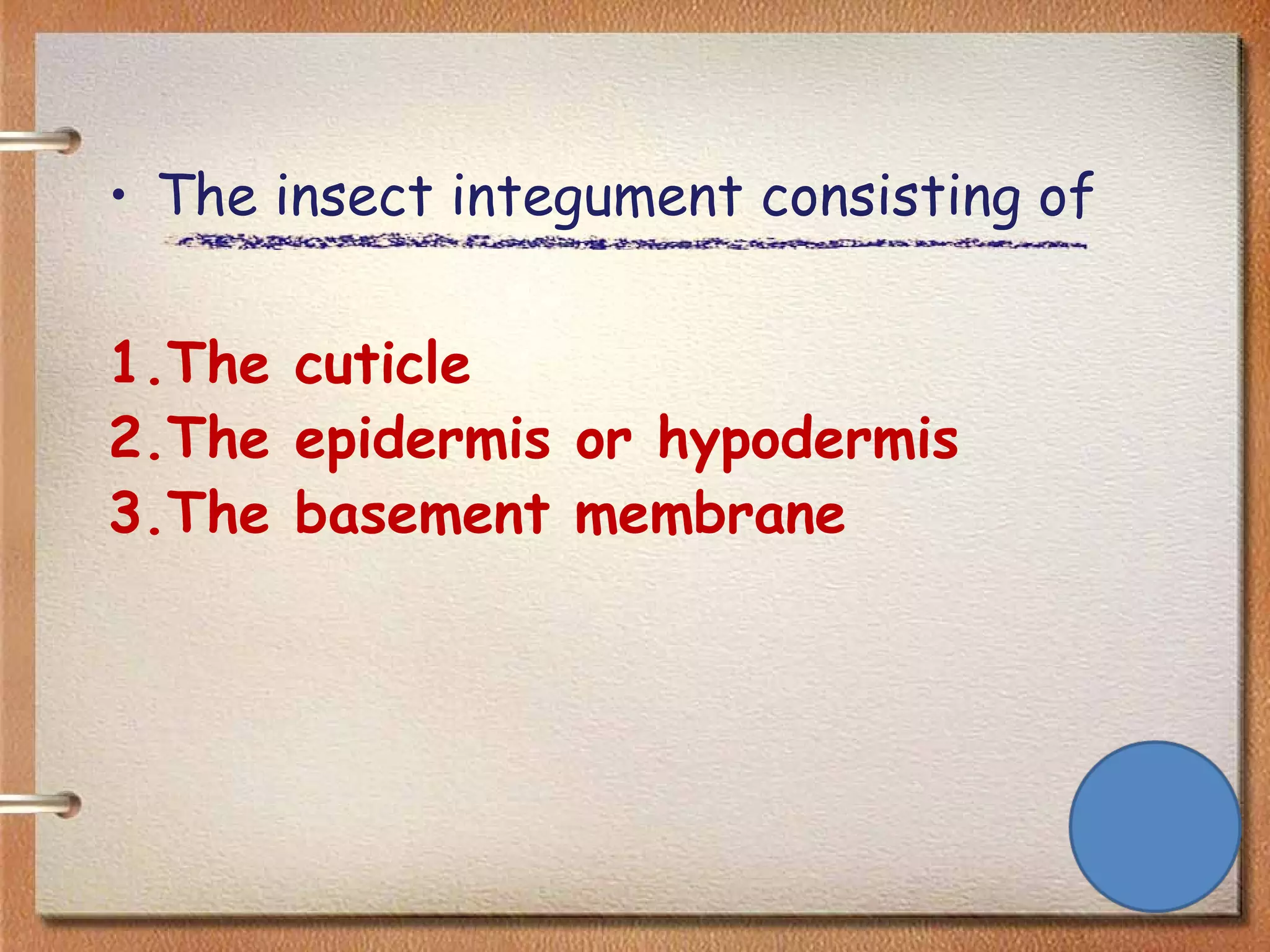 Insect integument | PPT
