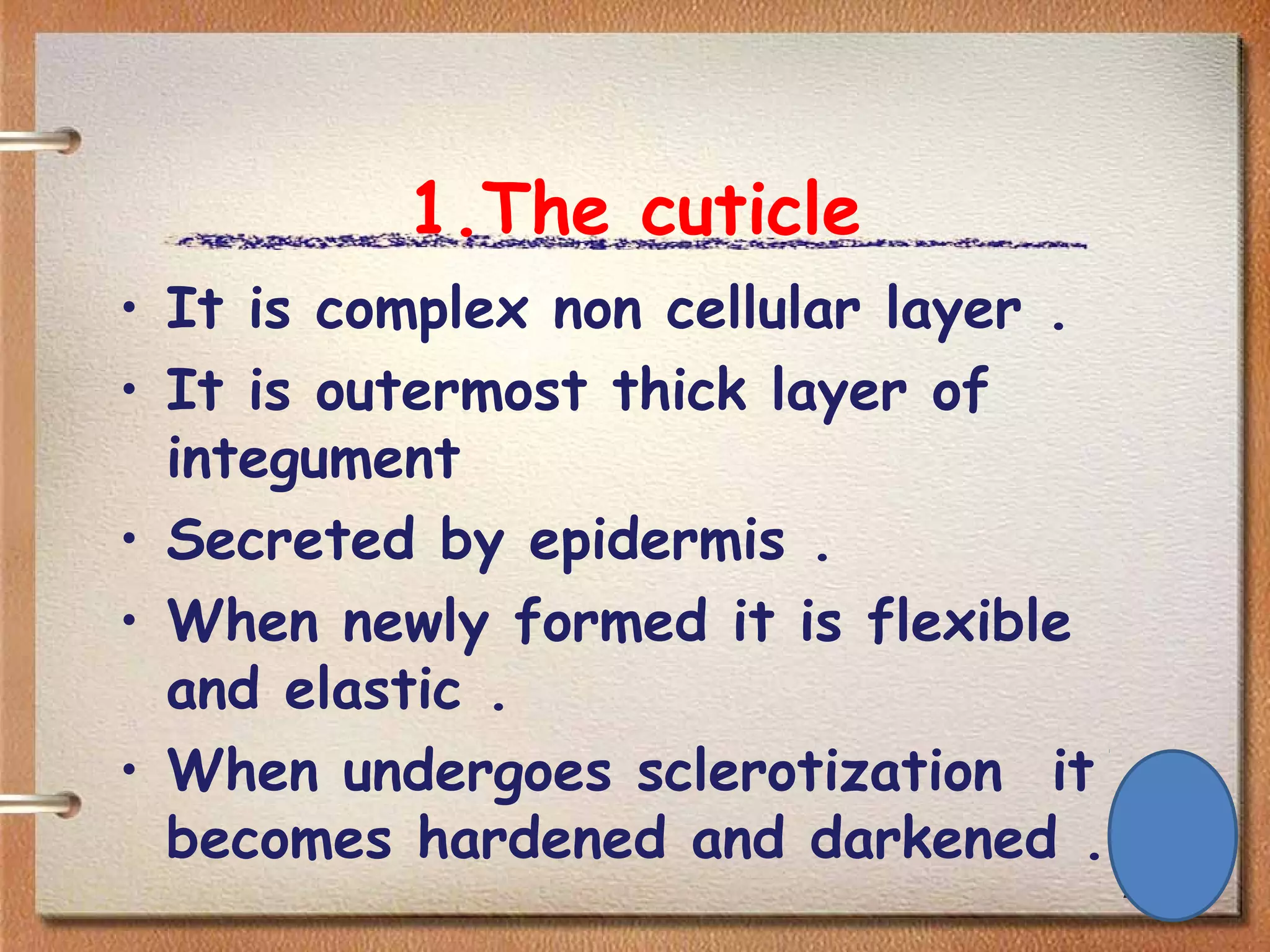 Insect integument | PPT