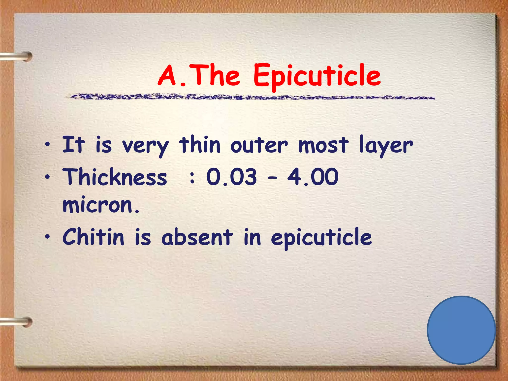 Insect integument | PPT