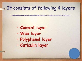 Insect integument | PPT