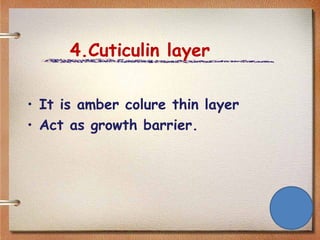 Insect integument | PPT